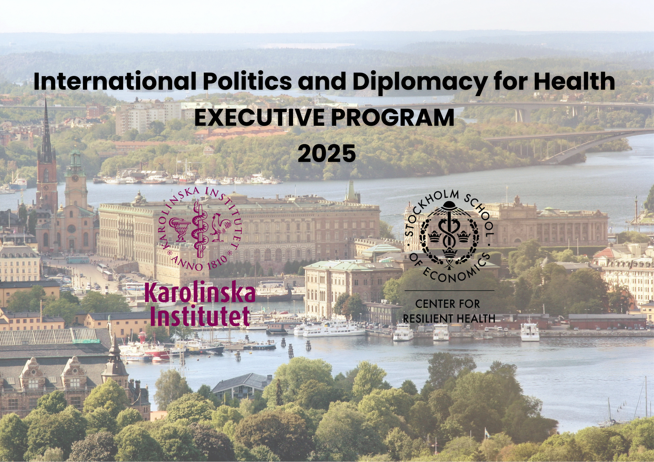 Launch of the 2025 Executive Program in International Politics and ...