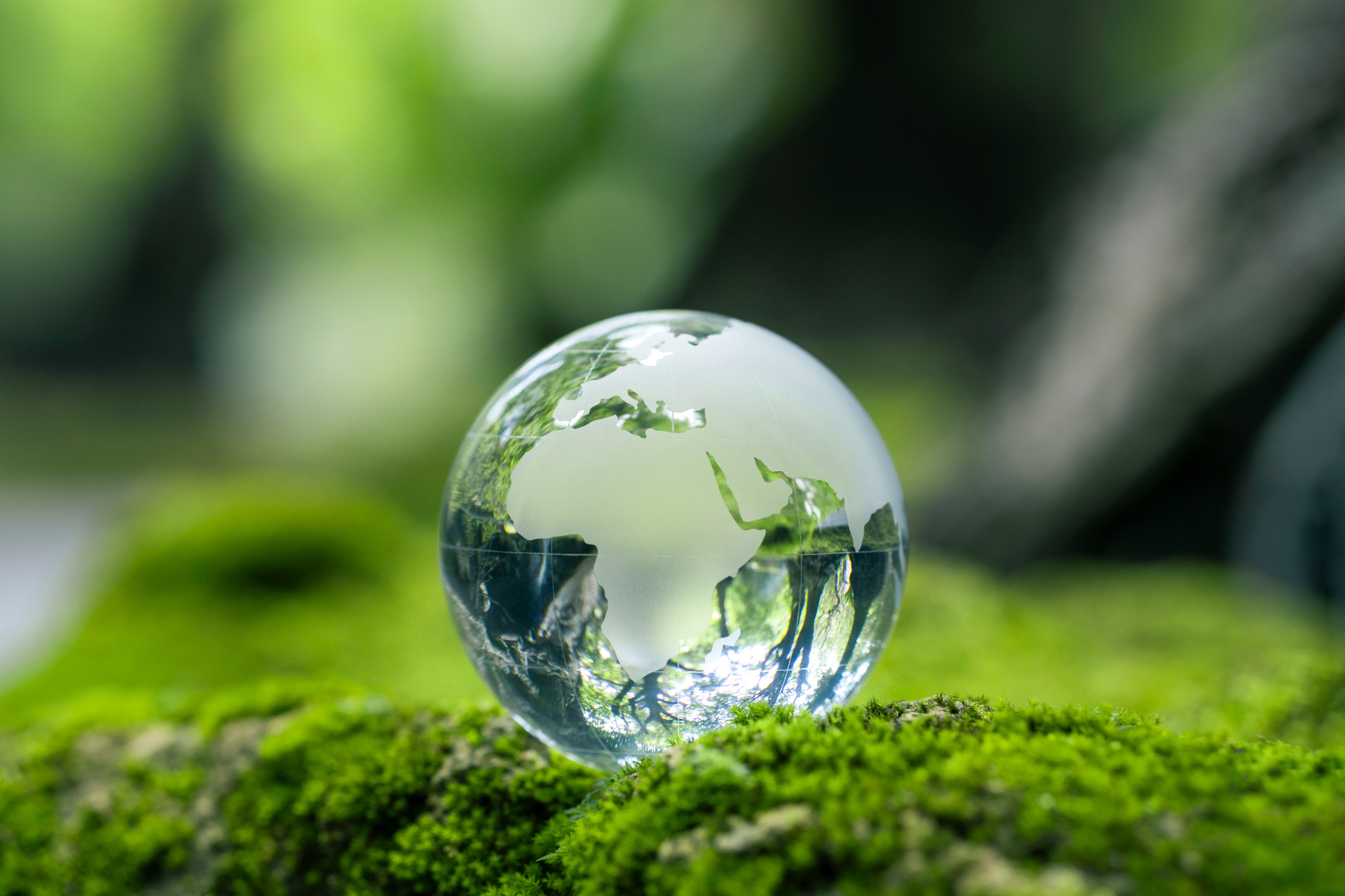 Insights on global health reform discussions, trends and perspectives ...